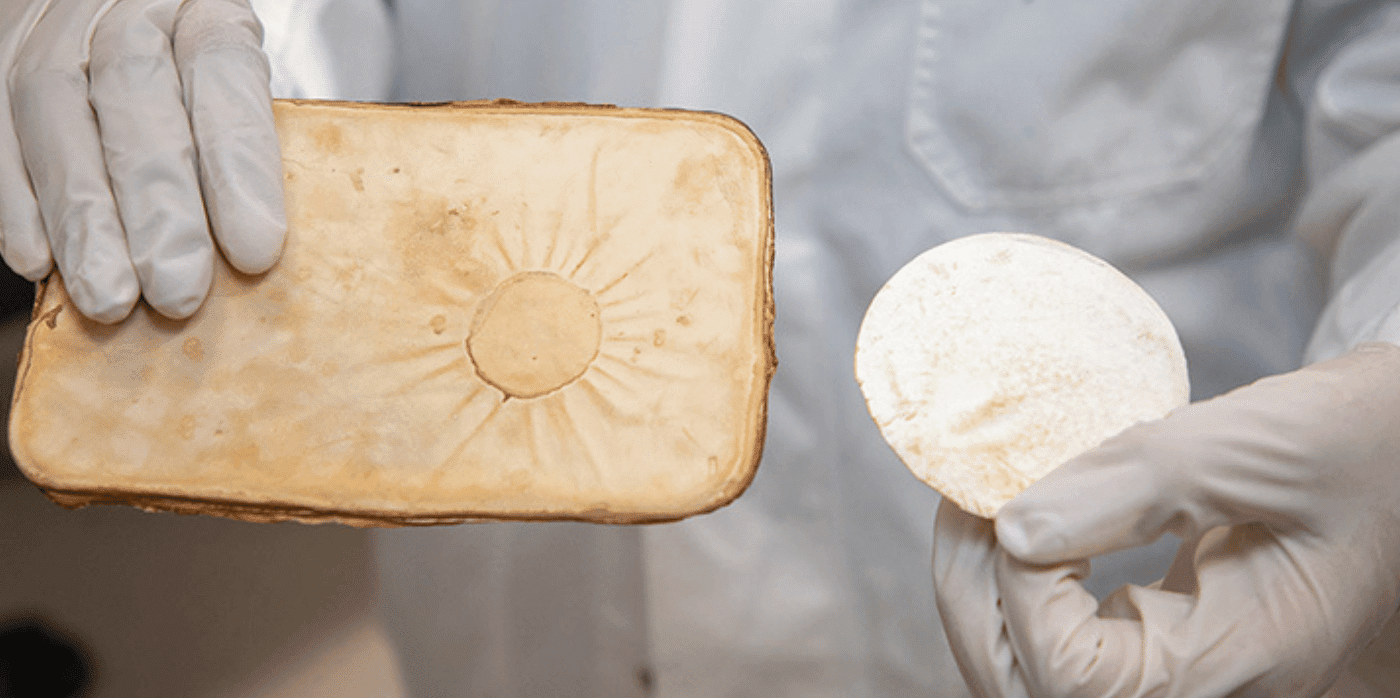 Fire-proof cladding made from mycelium - Zarkon Group Real Estate ...