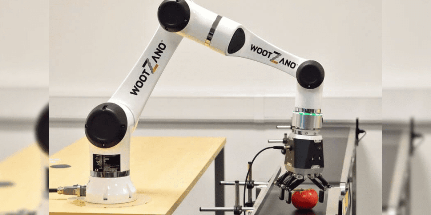 A fresh-produce-packing robot with a human touch - Zarkon Group Real ...