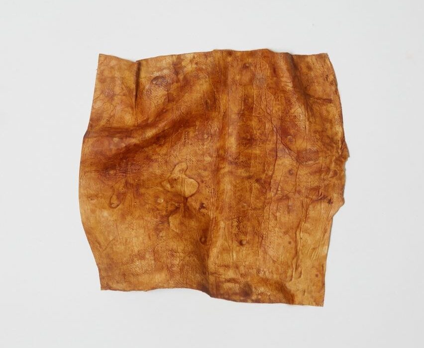 Food-waste dyes bring colour to mycelium leather by Sages and Osmose ...