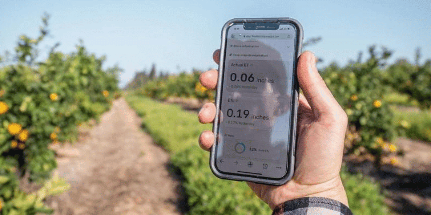 Sap flow sensors for smart water use - Zarkon Group Real Estate ...